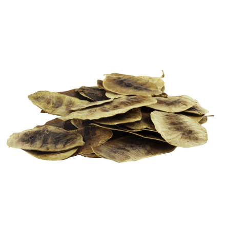 LEROS List senny léčivý čaj 20 sáčků | Onlinelekarna.cz